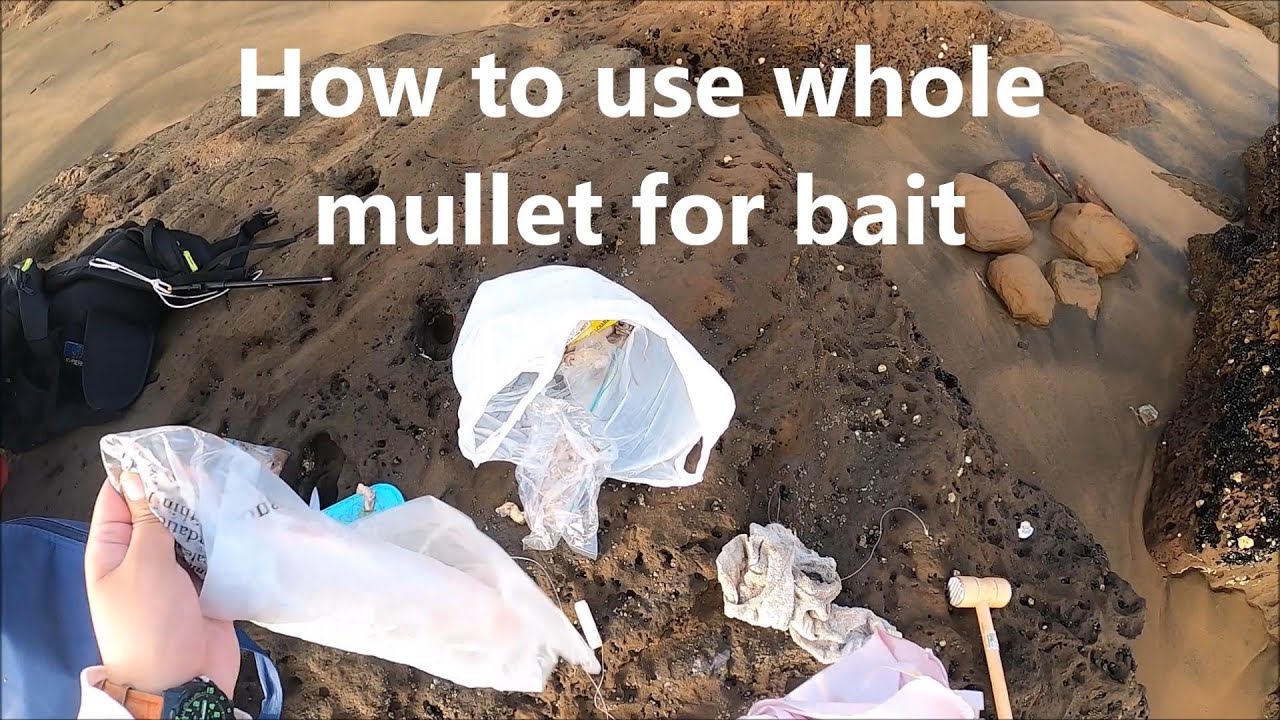 How to use a Whole Mullet for Bait - NZ Tutorial Fishing - YouTube