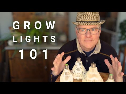 Grow Lights for Beginners + SANSI slays it with NEW bulb
