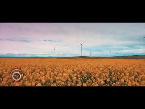Yılmaz Şen - yaralı yanımsın klibi (orjinal) 2019   Bagımlılık yapıyor