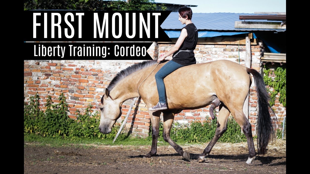 OUR FIRST MOUNT - 5.06.2017 :) - YouTube