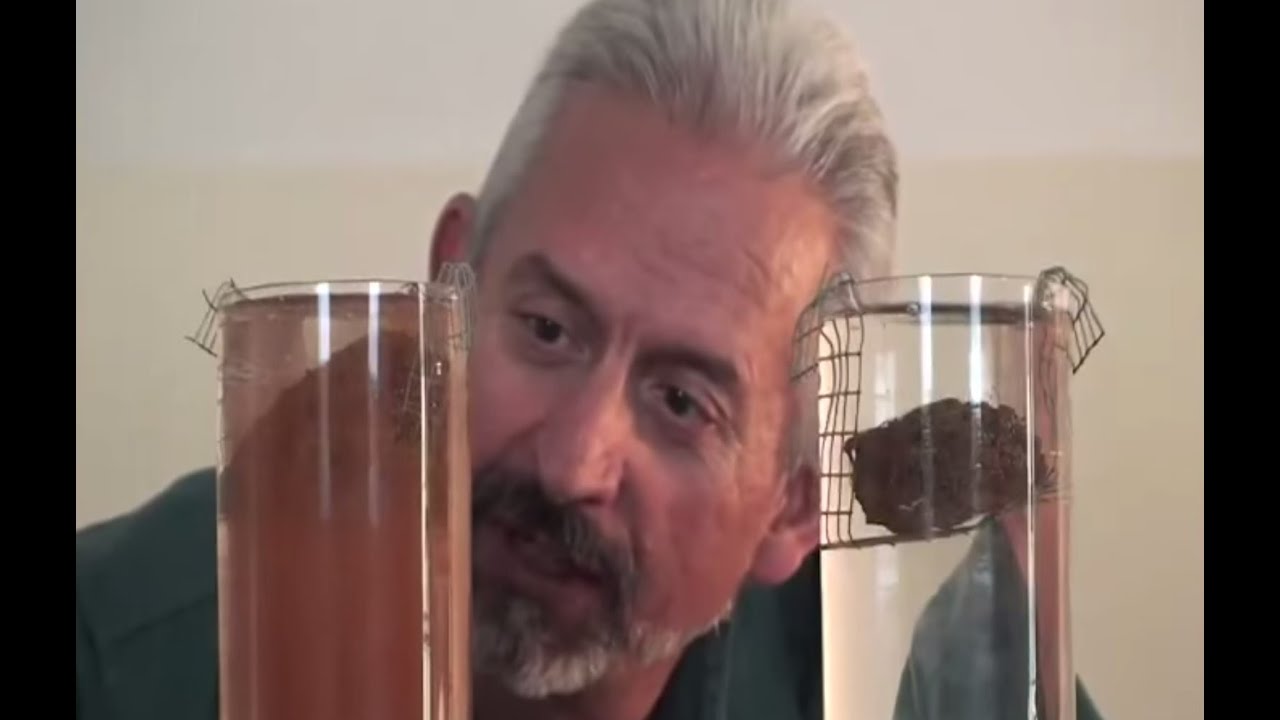 Soil health lessons in a minute: soil stability test - YouTube