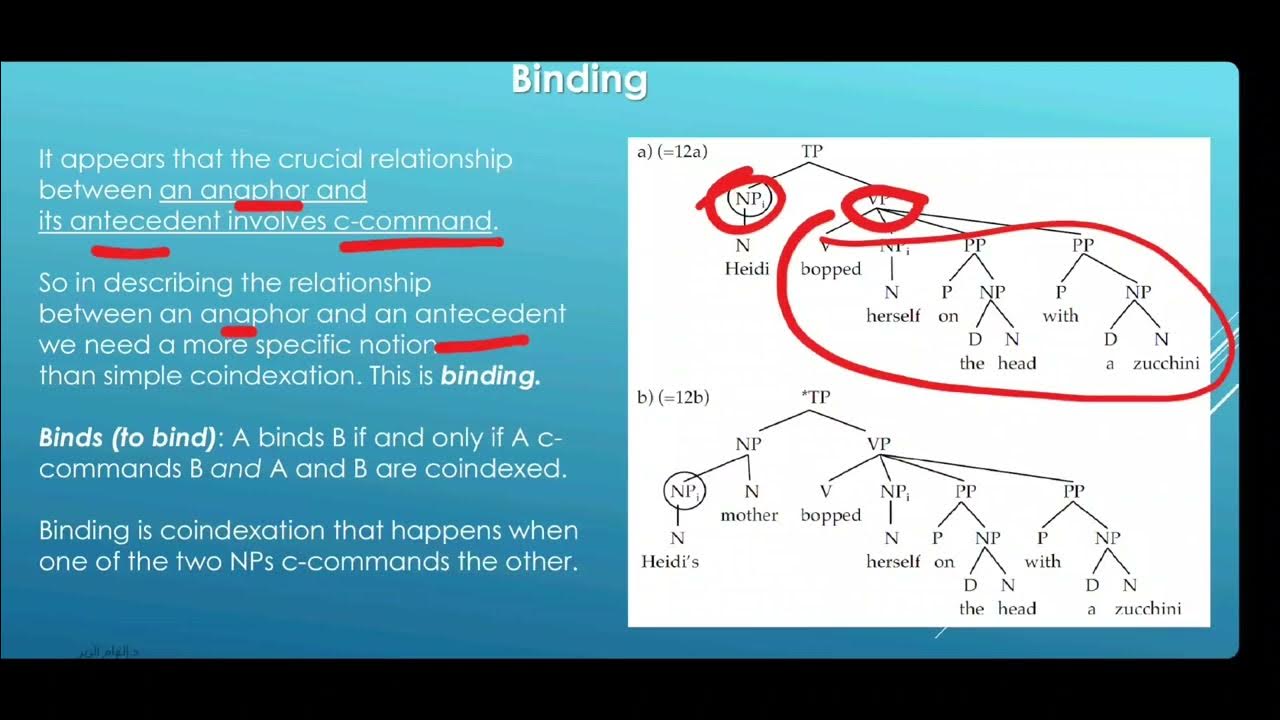 Syntax Chapter 5 Structural Relations - YouTube