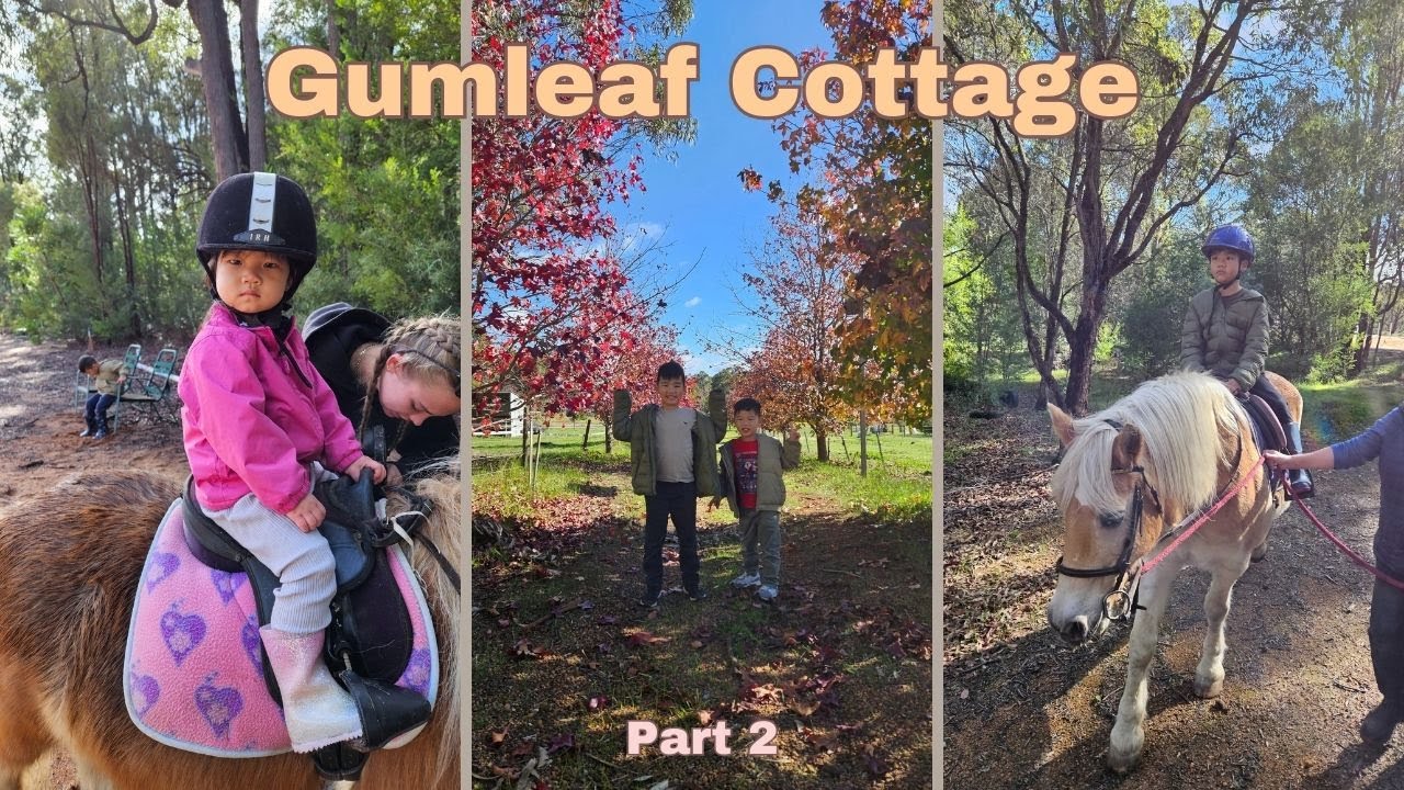 Gumleaf Cottage Part 2 - YouTube