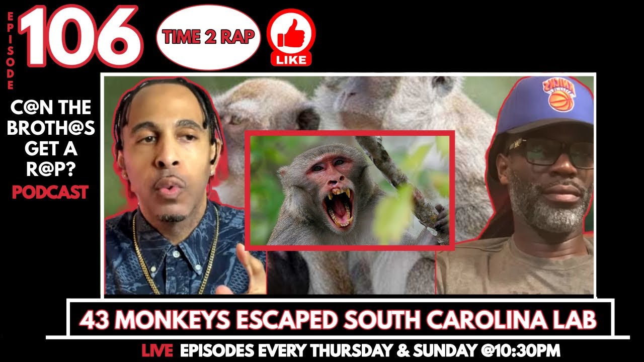 43 Monkeys Escaped Lab in South Carolina - Can The Brothas Get A Rap ...