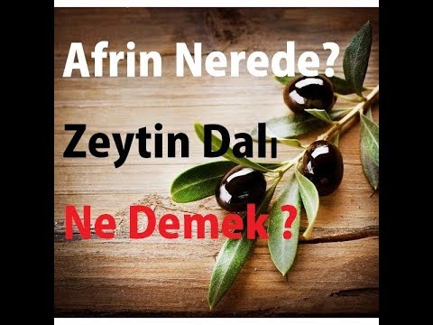 (90 Saniyede)Afrin Nerede, Zeytin Dalı Ne Demek ?