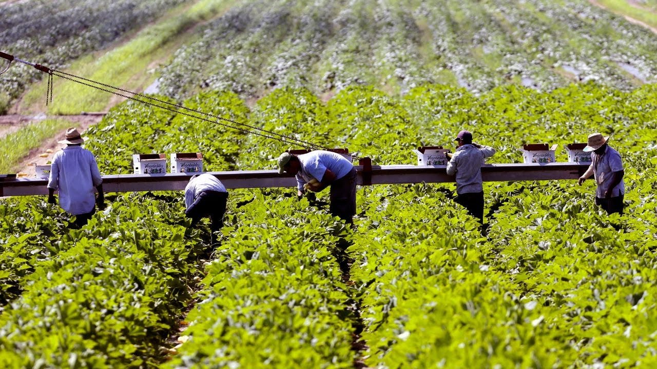 How These Farmers Use 27.5 Million Acres Of Farmland And 93,000 Farms ...