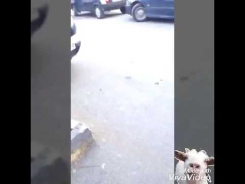 Yeni patenlerim-paten almaya gidiyoz gardaş