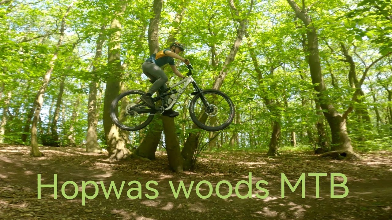 Hopwas woods May 2023 - YouTube