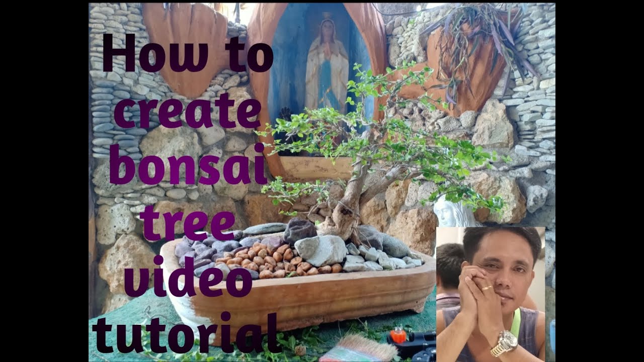 How to create bonsai tree?.BONSAI Ang alaga ko.makikita nio pano ko ...