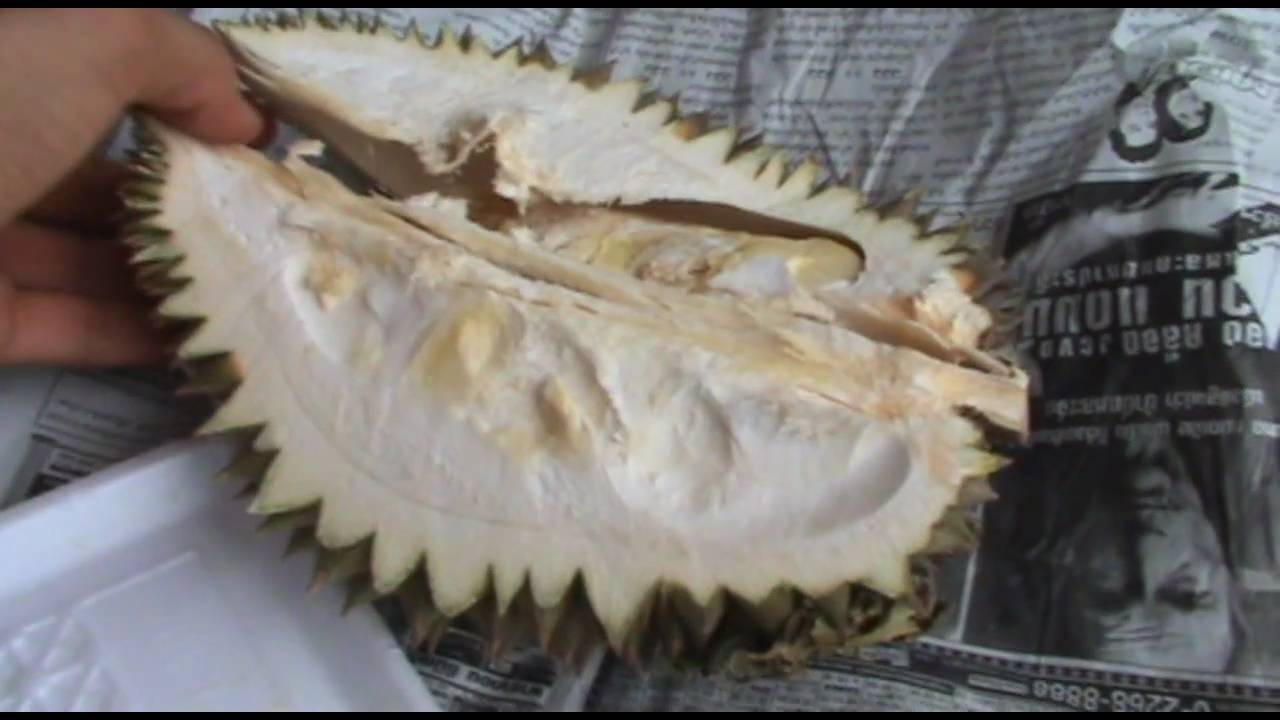 Durianas - vaisių karalius - #2 Gera Gyventi - YouTube