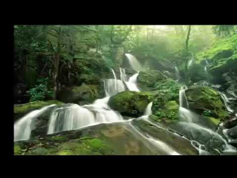 Kor2an Karim - YouTube