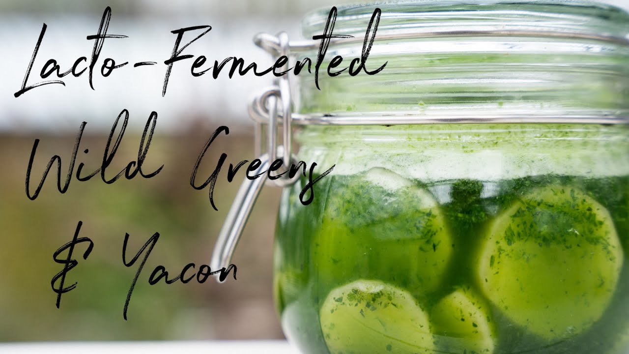Lacto-Fermented Wild Greens & Yacón - YouTube