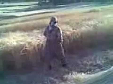 köyde orakla ekin biçme