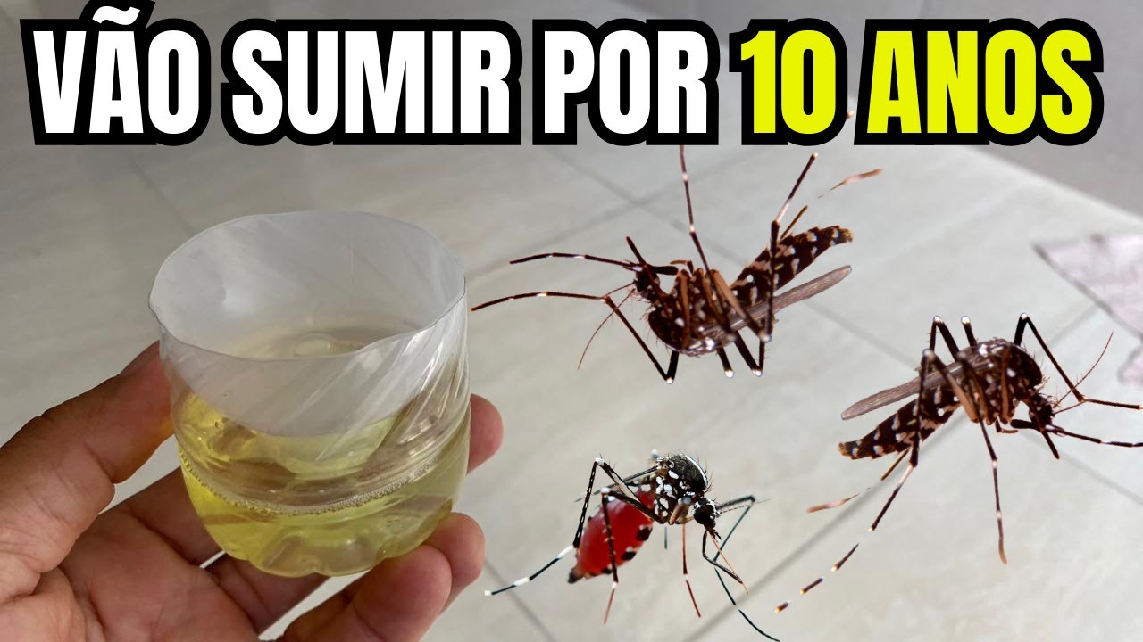 Isso Faz Mosquitos e Pernilongos SUMIREM PARA SEMPRE - YouTube