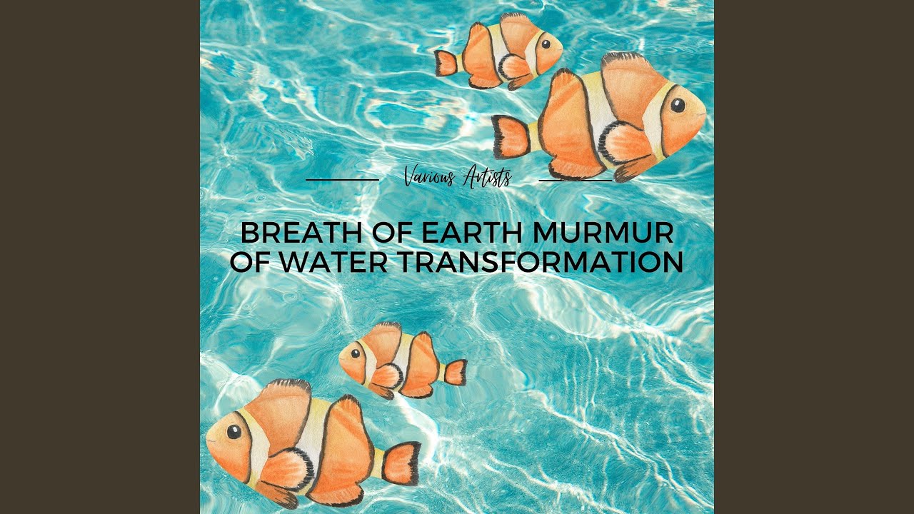 Journey Inward Without Maps - Future Relax & Meditation Club: Song ...