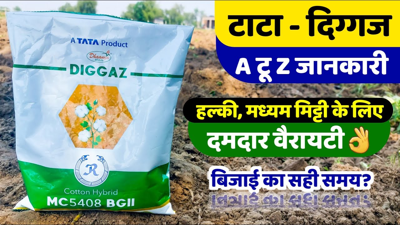 TATA Digaj हल्की से भारी मिट्टी के लिए नरमा, कपास की दमदार वैरायटी ...