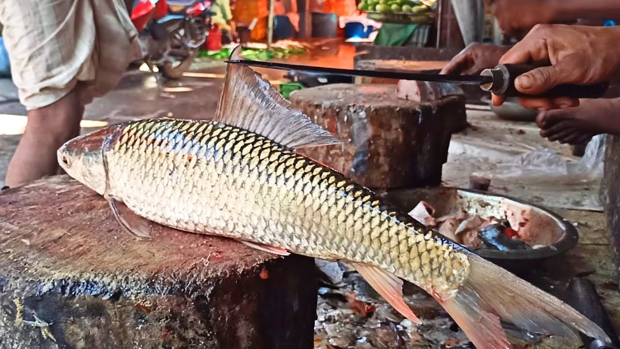 Amazing Mal Fish Cutting Skill BD Fish market - YouTube