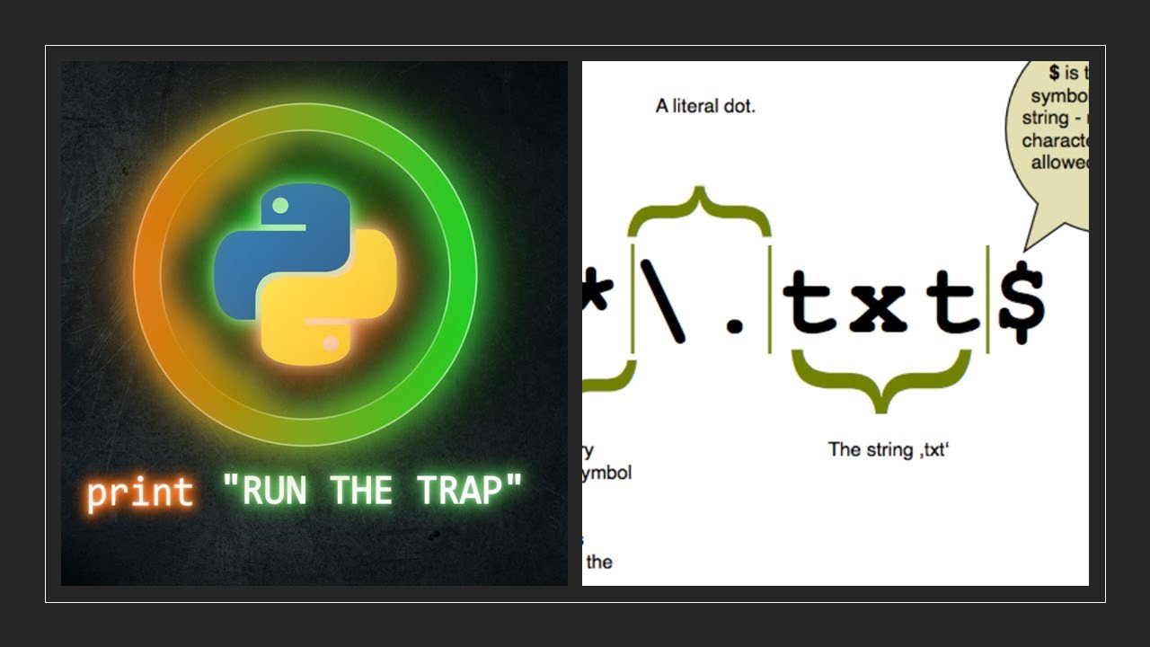 🐍 3 Meta Characters Regular Expression Python 🐍 Regex Python Series