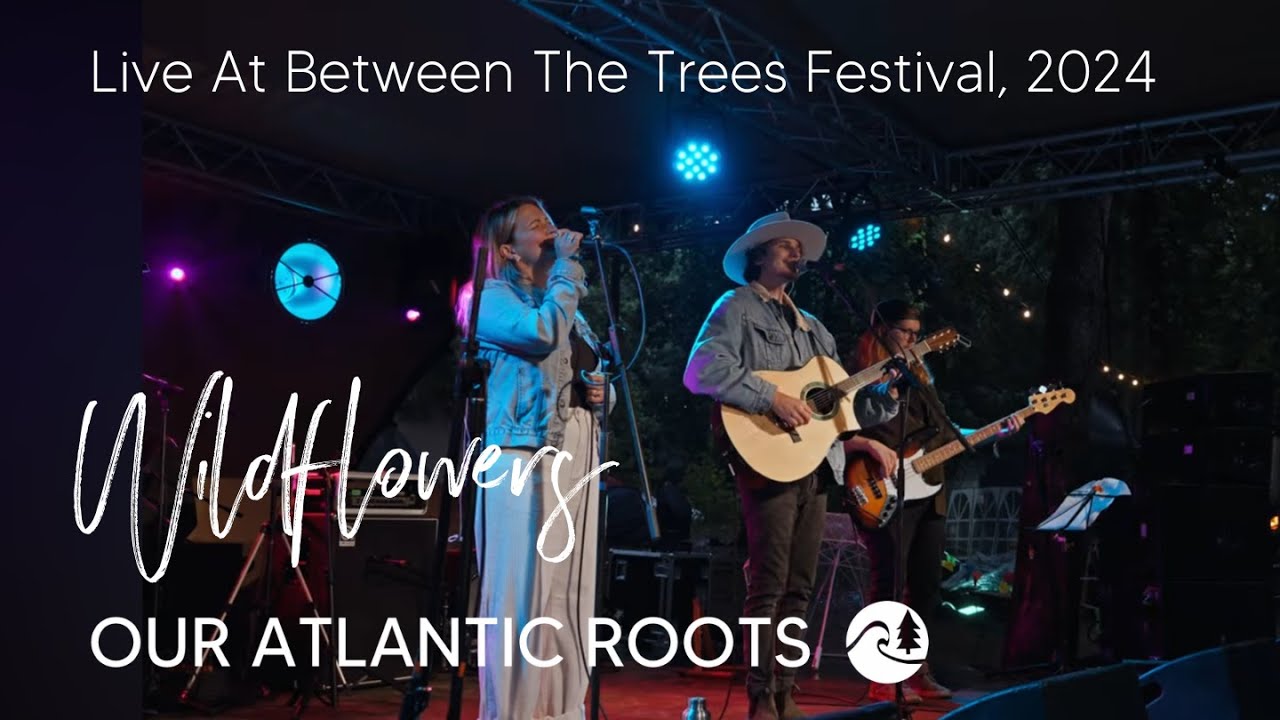 Wildflowers - Our Atlantic Roots - Live From Between The Trees 2024 ...