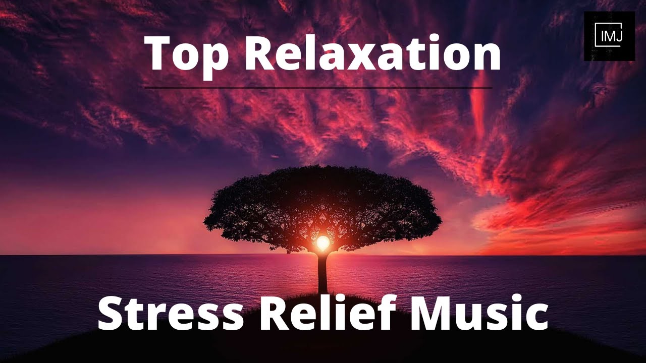 Calming tree relaxation music - 1 hour music for stress relief ...