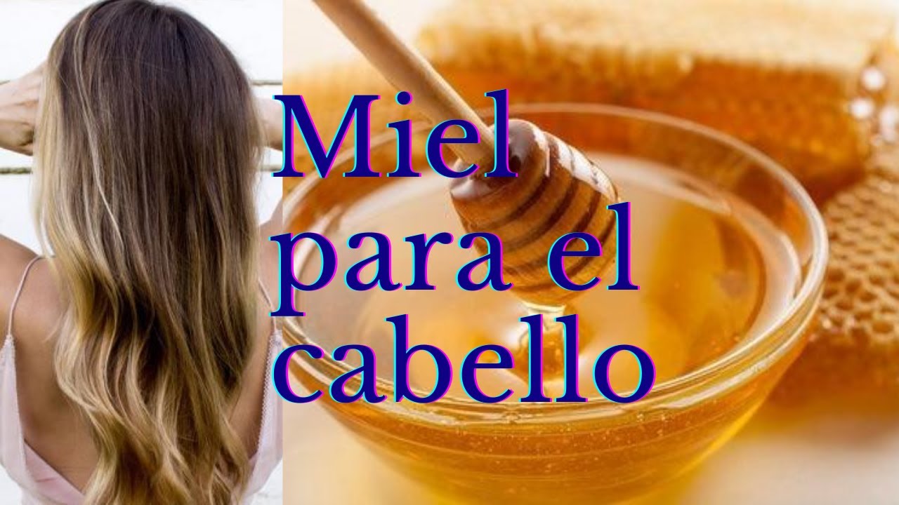 Miel para el cabello//usos y propiedades de la miel para el cabello ...