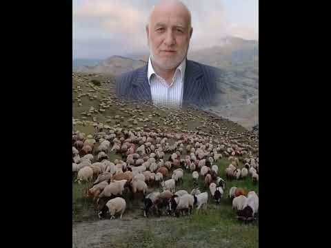 Dəşti Vagif Hallavarlı