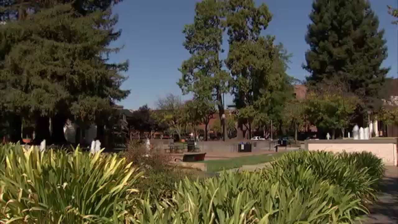 The City of Santa Rosa - YouTube