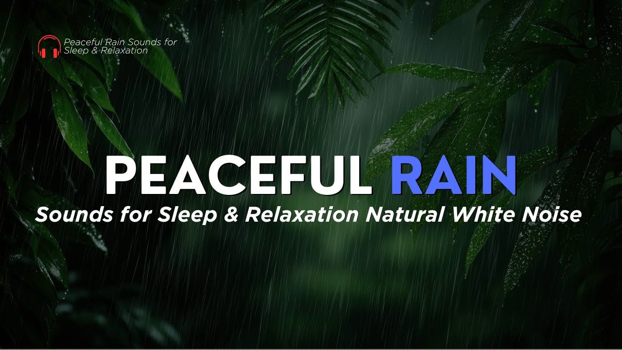 RELAXATION Mode Activated with Soothing Rain Sounds! - YouTube