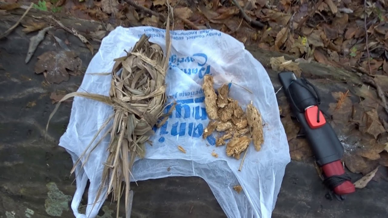 Foc cu punk wood, conditii umede - YouTube