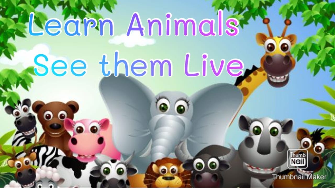 Fast Learning Animals Names with Live videos |Easy Learning for Kids ...