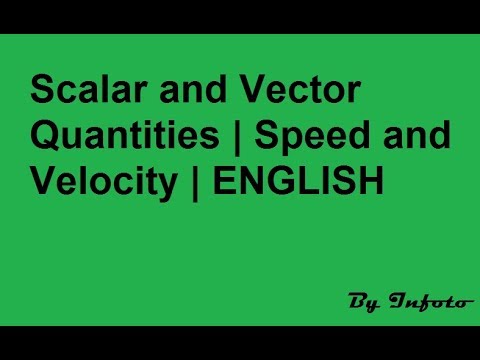 Scalar and Vector Quantity | Speed and Velocity | ENGLISH - YouTube