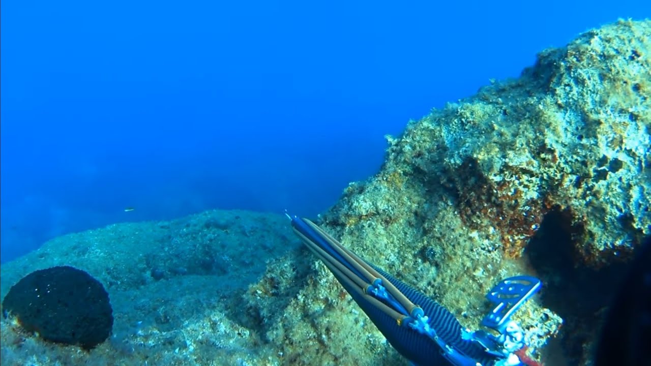 📽 Τα Απότομα Γκρεμια Της Δυτικής Κρητης 🔱 Steep Wall Spearfishing West ...