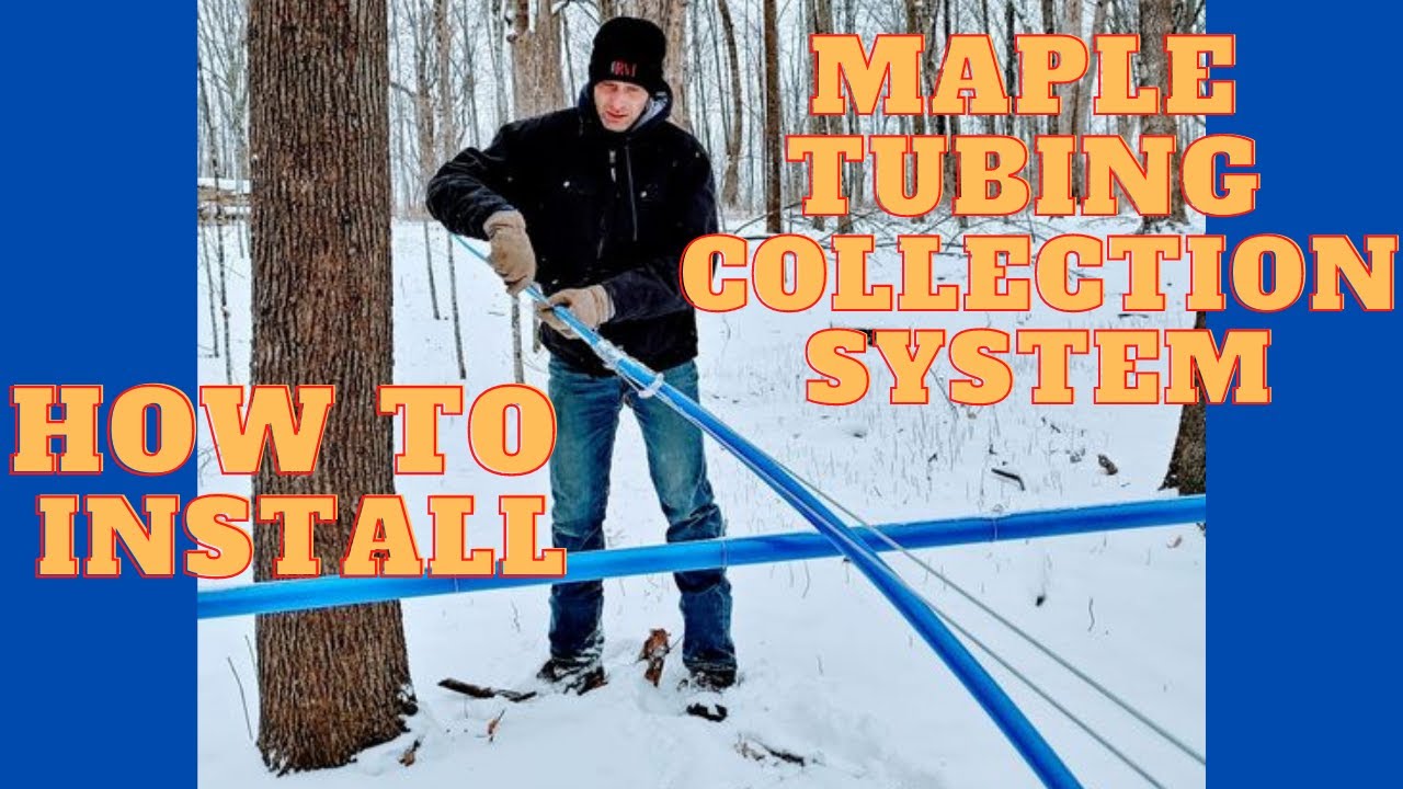 How To Install a Maple Tubing Collection System! (Updated) - YouTube