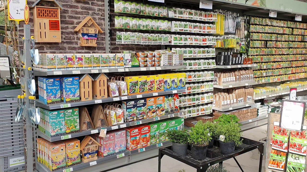 Life en Garden Hulst wordt Intratuin - YouTube