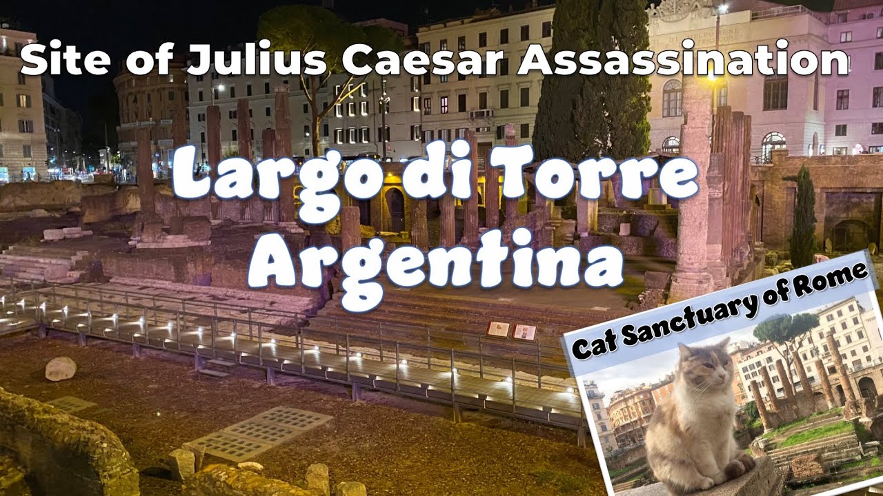 Julius Caesar's Death Site in Rome | Cat Sanctuary | Rome City Tour ...