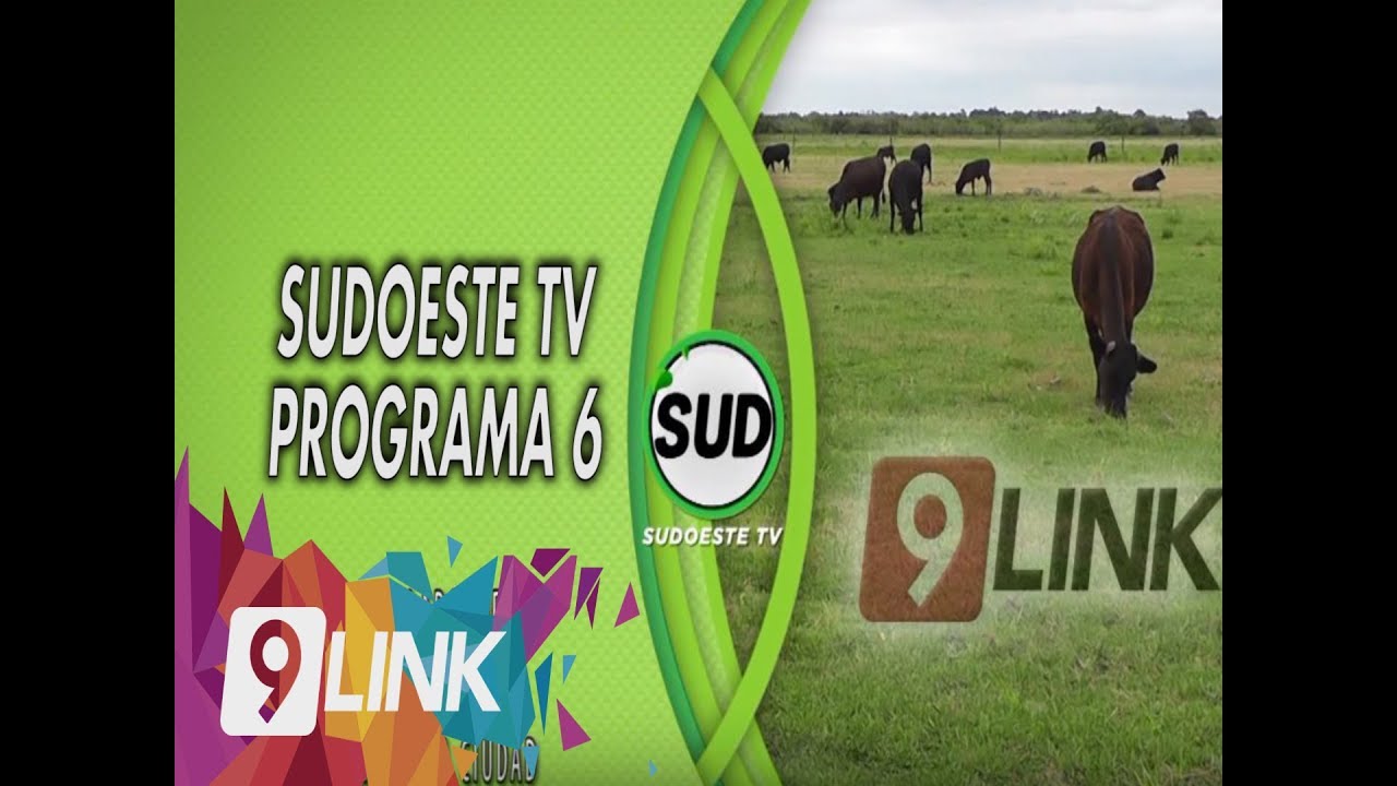C9 - Sudoeste Tv programa 6 - YouTube