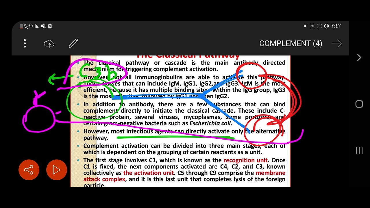 Classical pathway - YouTube