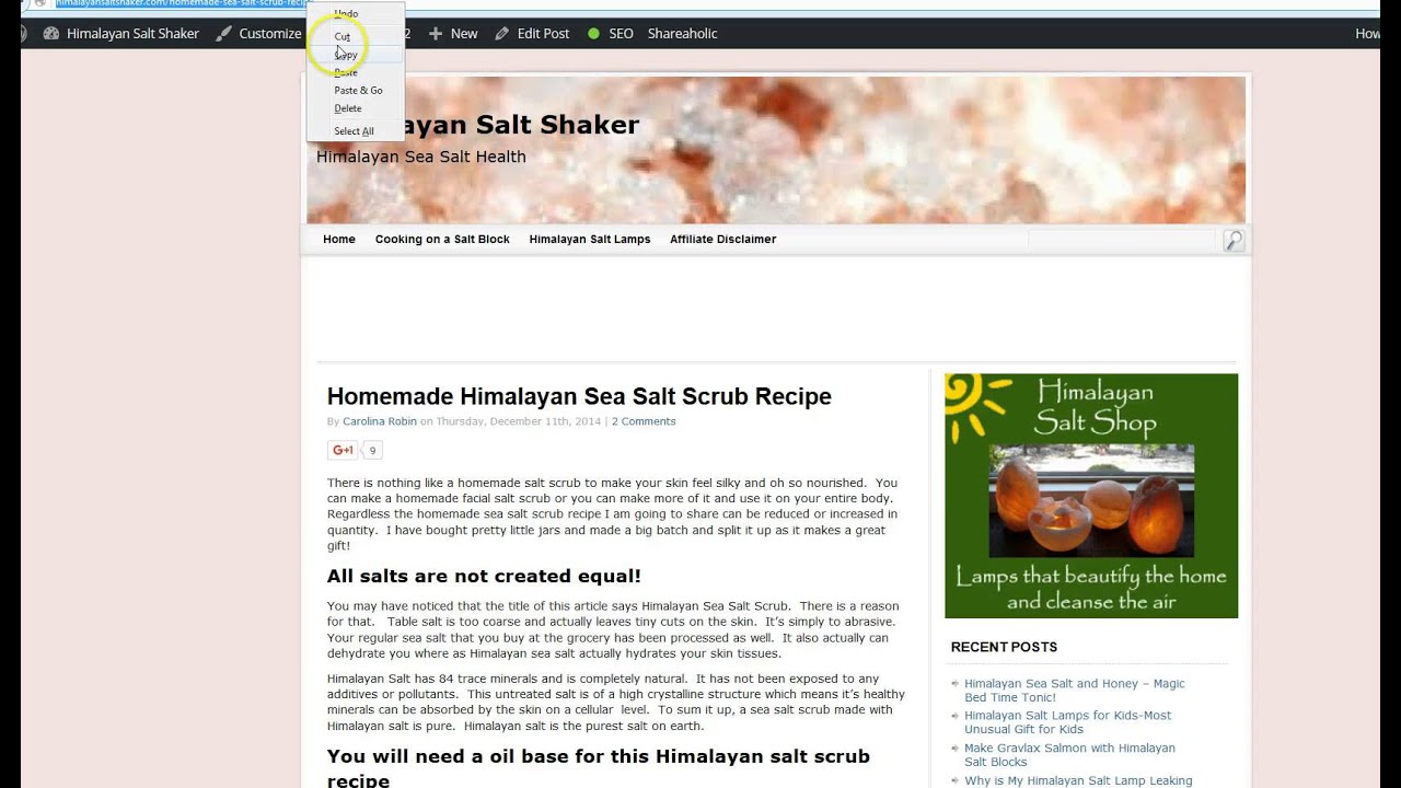 How To Create An Internal Link Powerful SEO Practice YouTube How To Create An Internal Link Powerful SEO Practice YouTube