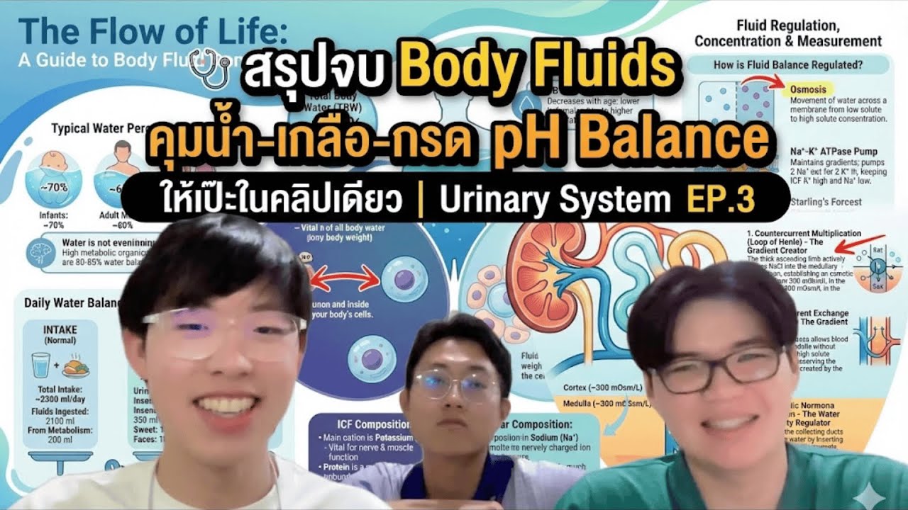 Urinary System EP.3 | Body Fluids, Osmoregulation & pH Balance - YouTube