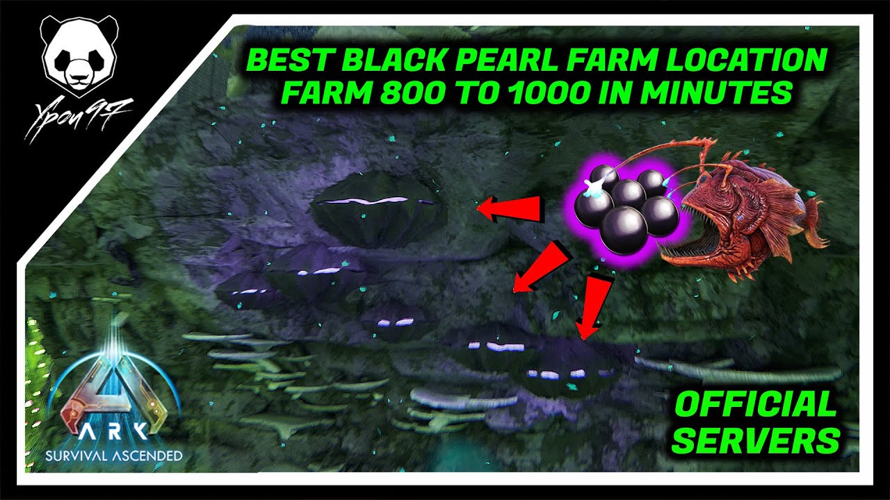 The Best Black Pearl Farm Location In Astraeos | ARK: Survival Ascended ...