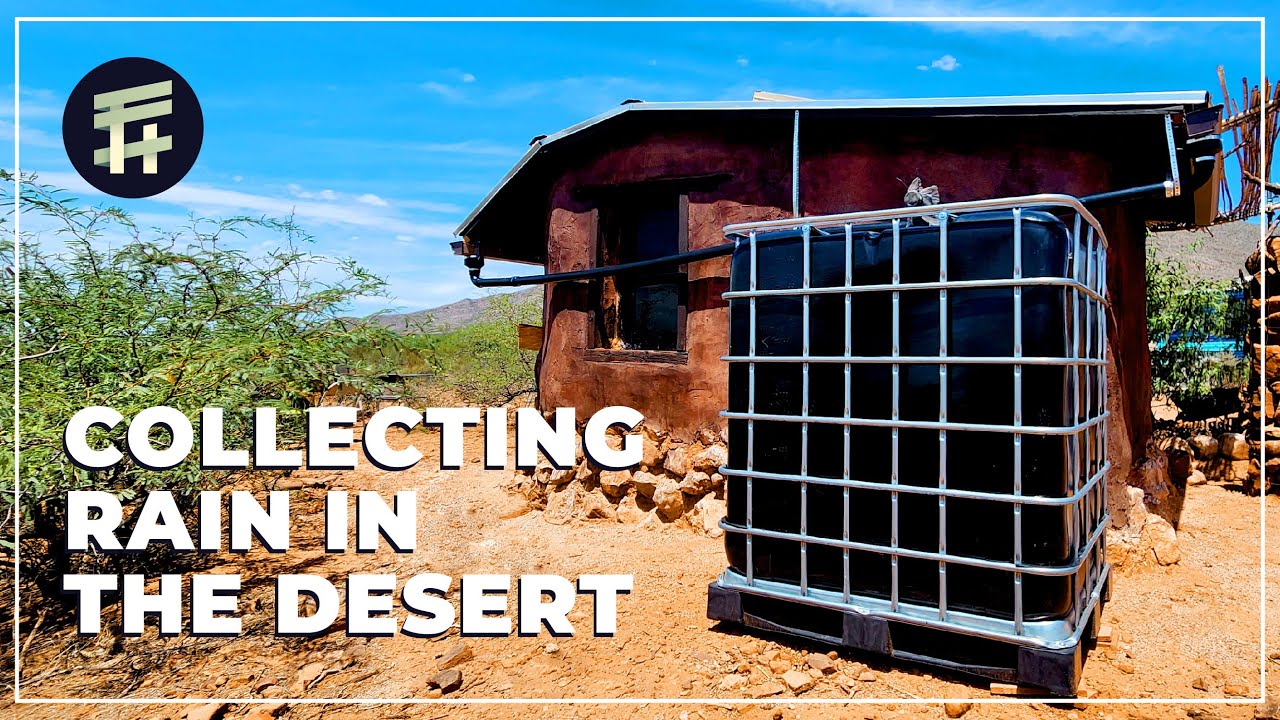 💦 Turn Rain into Resource: Water Collection Strategies for Desert ...