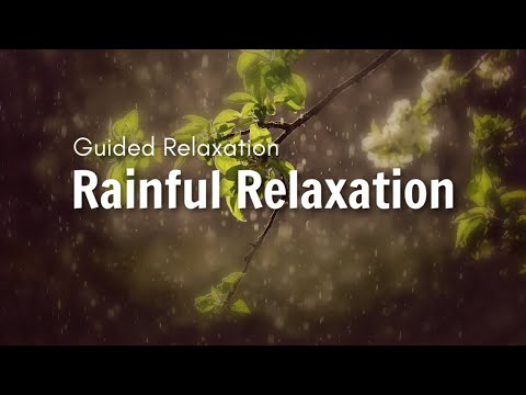 Rainy Day Relaxation Softly Spoken to Help Reduce Stress and Anxiety - YouTube