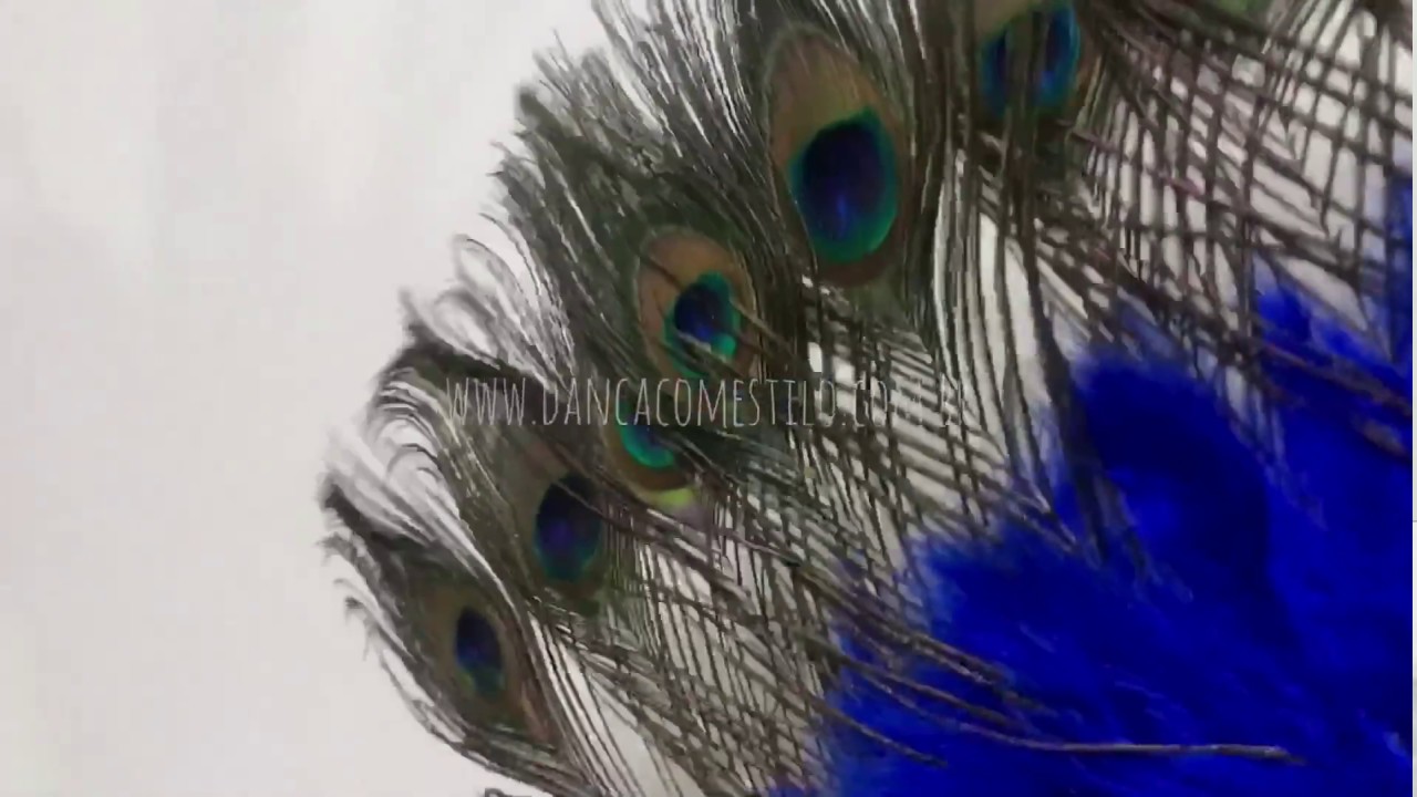 Leque Pena Pavão Azul Fan - YouTube