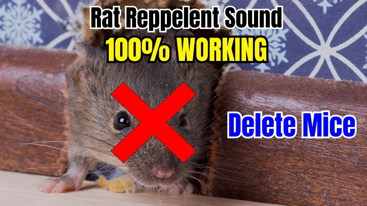 15000Hz, 17500Hz & 20000Hz Ultrasonic Ultimate Extreme Mouse and Rat ...