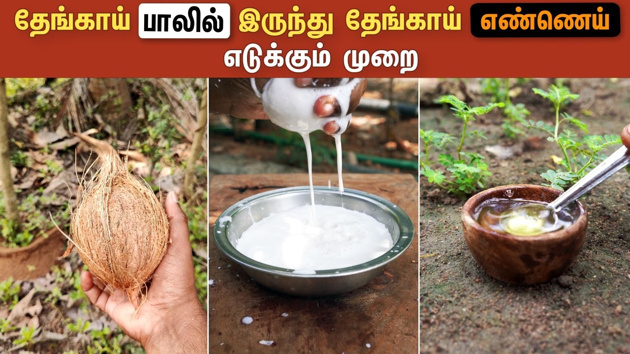 Making Virgin Coconut Oil From Coconut Milk | Villagevlog - YouTube