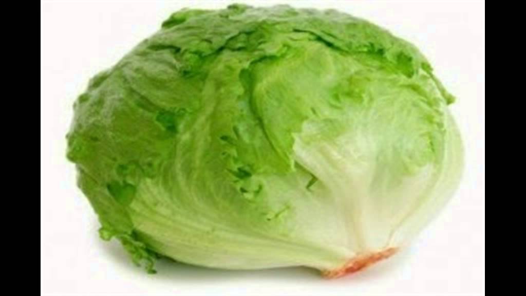 LA LECHUGA - YouTube