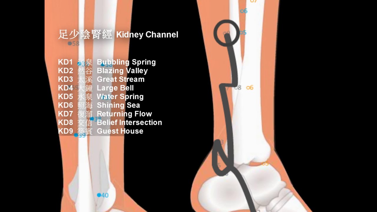 08 Kidney Meridian_Acupressure DIY - YouTube