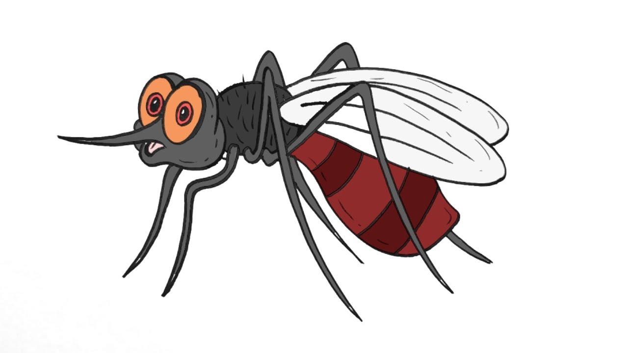 How to Draw MOSQUITO - YouTube