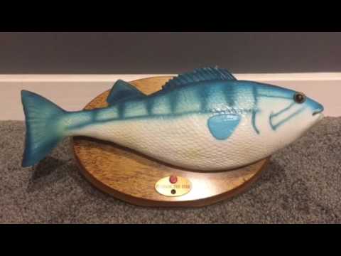 Frankie the fish (gift) - YouTube