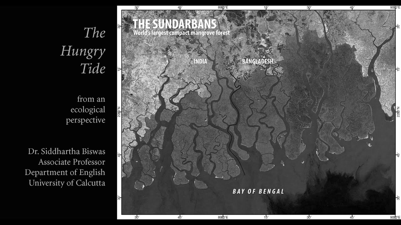 The Hungry Tide: from an ecological perspective - YouTube